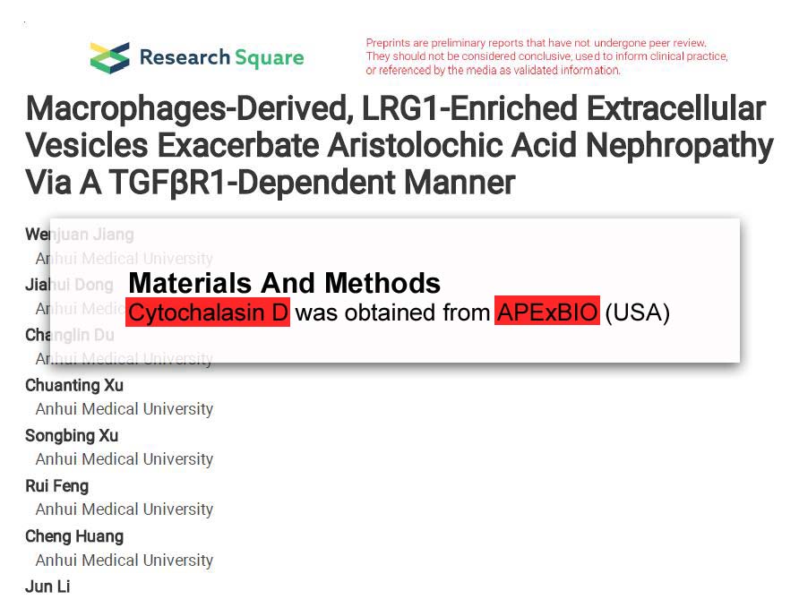 美国APExBIO中文官网 - Cytochalasin D