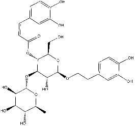 Verbascoside - PKC/NF-B Pathway Inhibitor | APExBIO