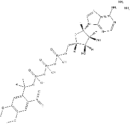 DMNPE-caged ATP diammonium salt - Photocaged ATP for Controlled Release ...