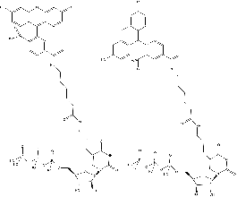 Fluorescein-12-UTP - Fluorescent RNA Labeling Nucleotide | APExBIO