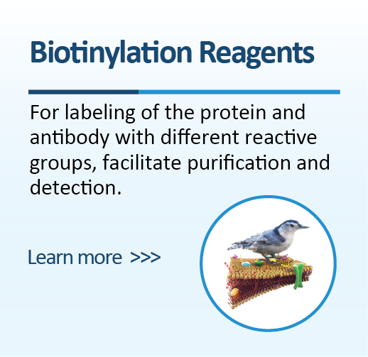 APExBIO: Achieve Perfection | Inhibitors, mRNA & Proteins