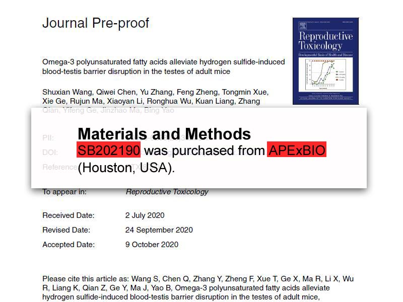 SB202190 (FHPI) – p38 MAPK Inhibitor | APExBIO