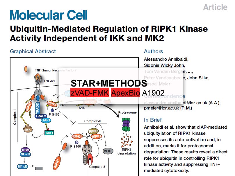 Z-VAD-FMK-艾德科技（北京）有限公司 专注于生物领域新产品新技术开发与应用