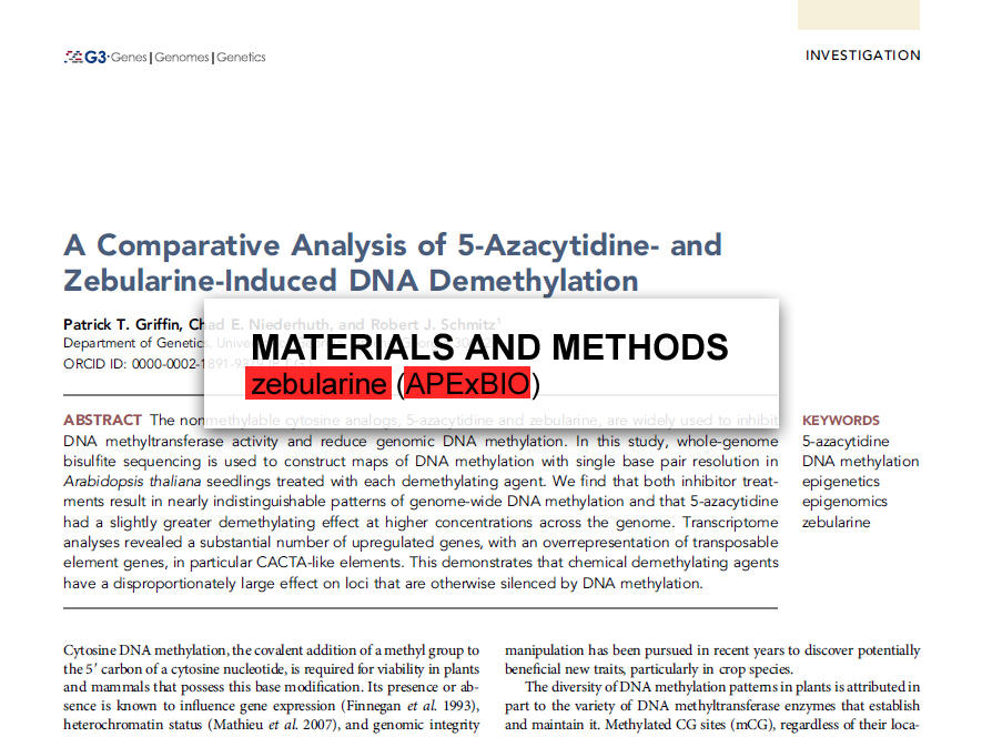 Zebularine – DNA Methyltransferase Inhibitor | APExBIO