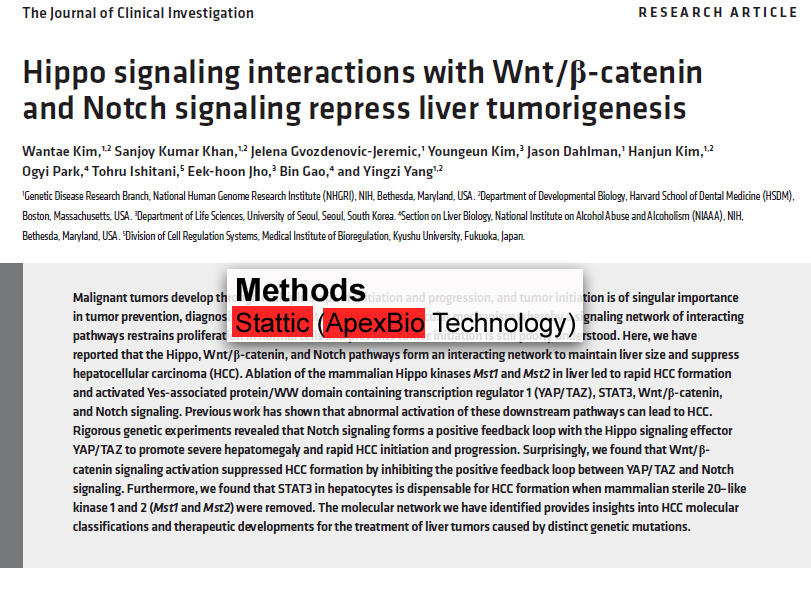 Stattic - Potent STAT3 Inhibitor for Research | APExBIO