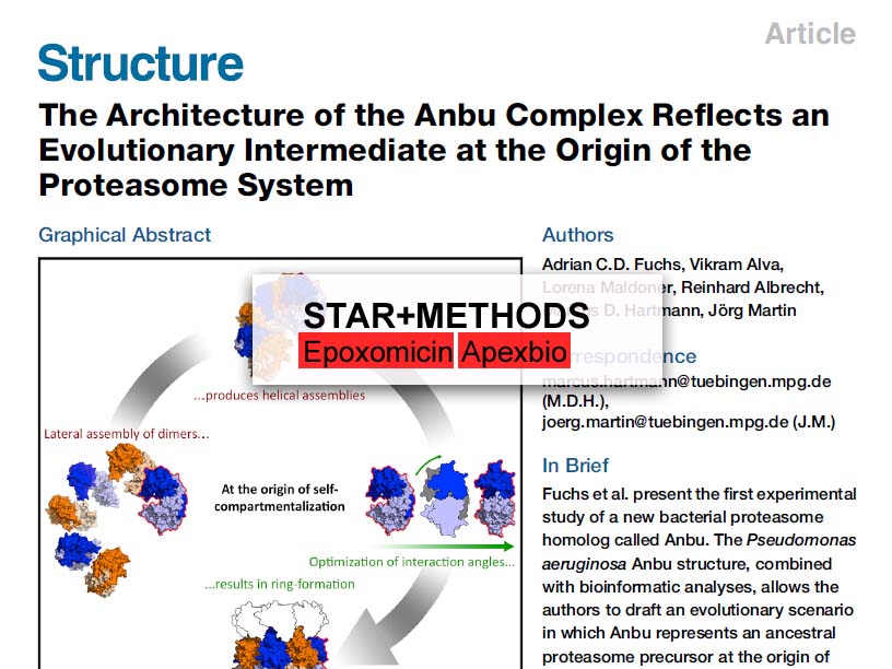 Epoxomicin – Proteasome Inhibitor | APExBIO