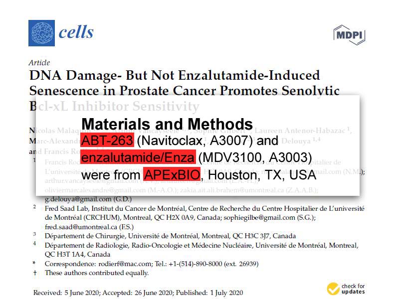 ABT-263 (Navitoclax) – Bcl-2 Inhibitor | APExBIO