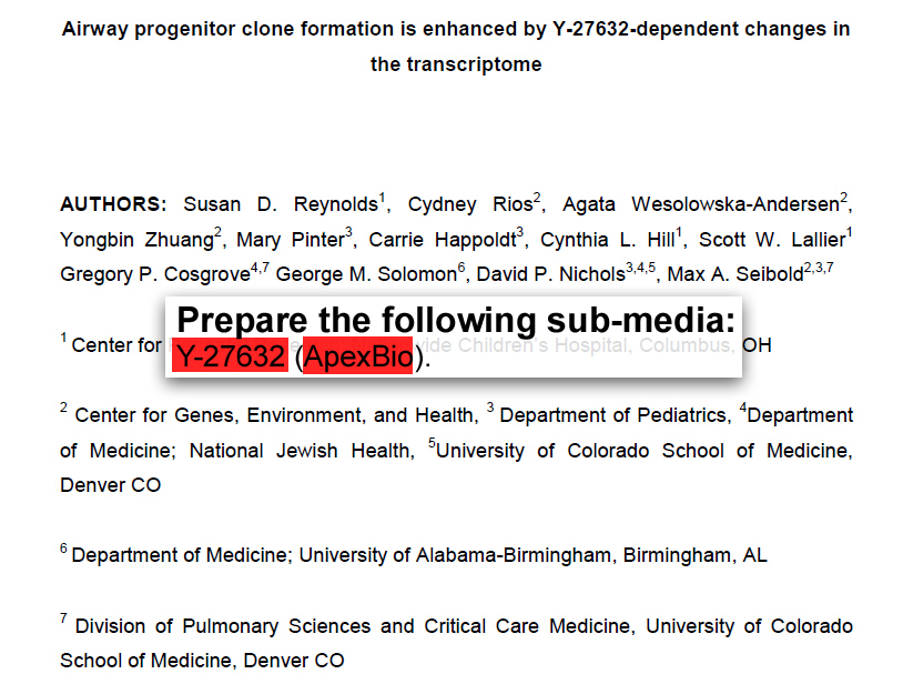 Y-27632 Dihydrochloride – ROCK Inhibitor | APExBIO