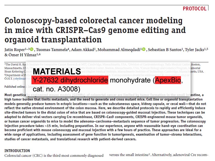 Y-27632 Dihydrochloride – ROCK Inhibitor | APExBIO