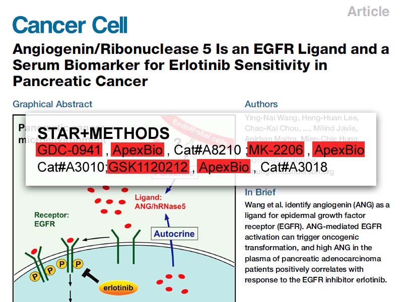 MK-2206 Dihydrochloride – AKT Inhibitor | APExBIO