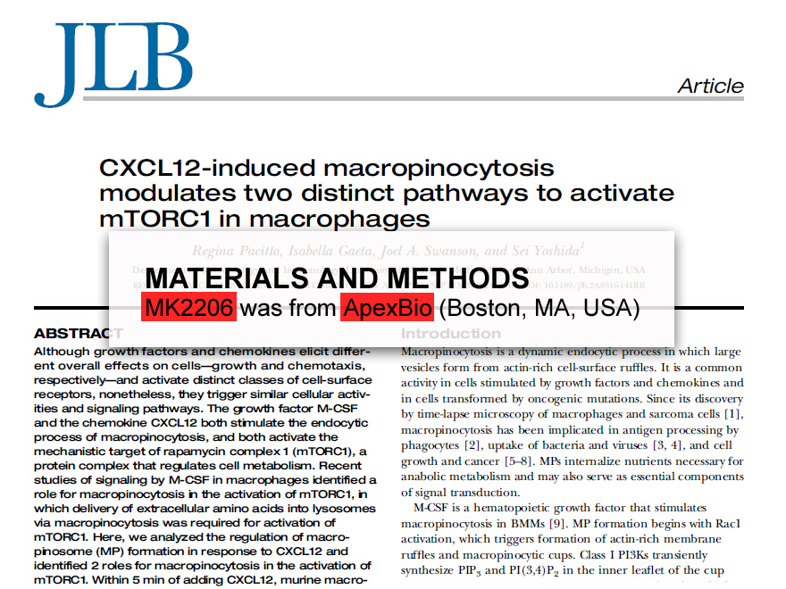 MK-2206 Dihydrochloride – AKT Inhibitor | APExBIO