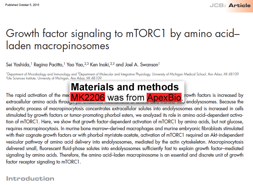 MK-2206 Dihydrochloride – AKT Inhibitor | APExBIO