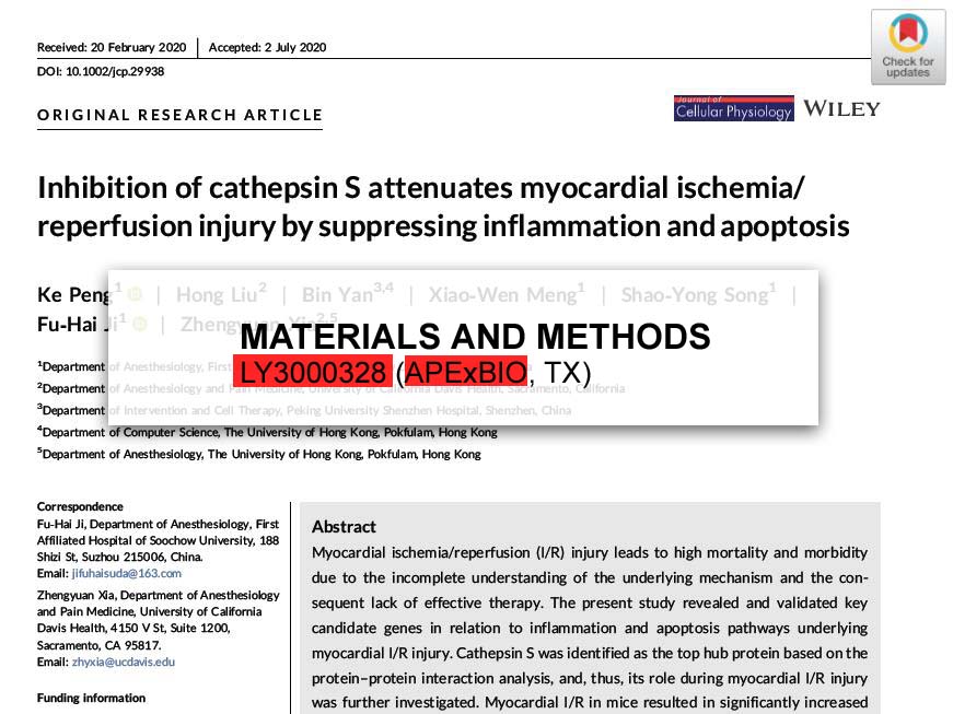 Cathepsin S inhibitor - Blocks MHCII Antigen Presentation | APExBIO