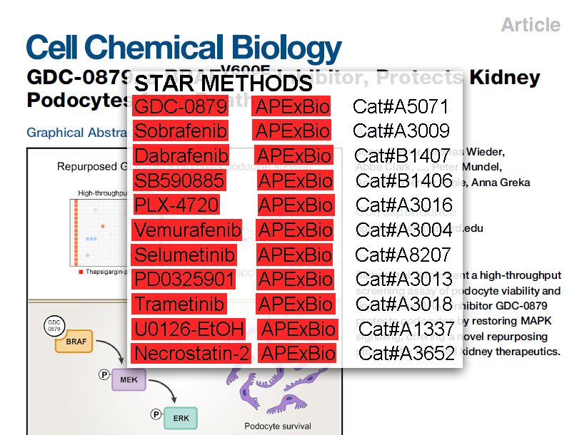 GDC-0879 - Potent Selective B-Raf Inhibitor | APExBIO