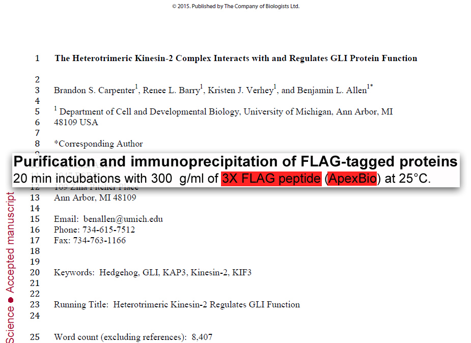 美国APExBIO中文官网 - 3X FLAG Peptide|Synthetic peptide tag