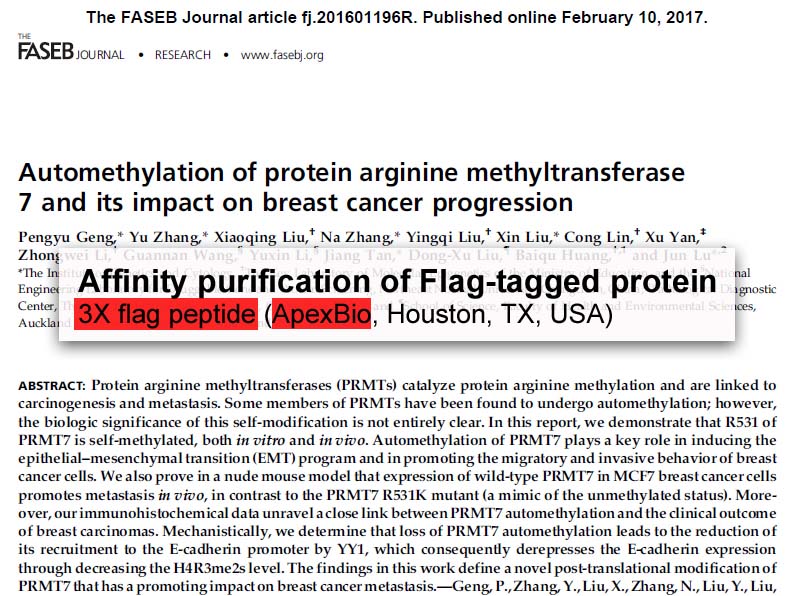 美国APExBIO中文官网 - 3X FLAG Peptide|Synthetic peptide tag