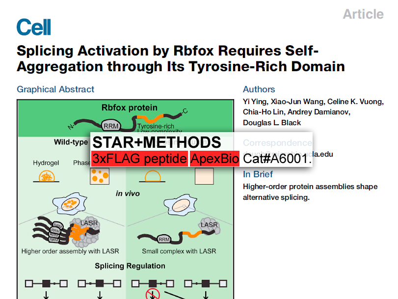 美国APExBIO中文官网 - 3X FLAG Peptide|Synthetic peptide tag