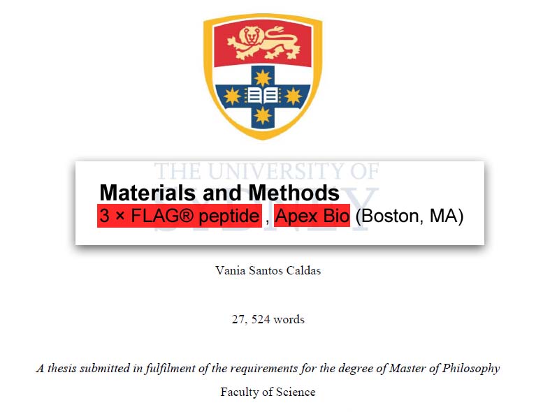 3X FLAG Peptide - Synthetic Peptide Tag for Protein Detection | APExBIO