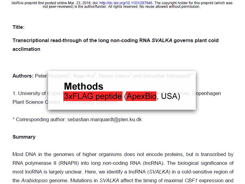 3X FLAG Peptide - Synthetic Peptide Tag for Protein Detection | APExBIO