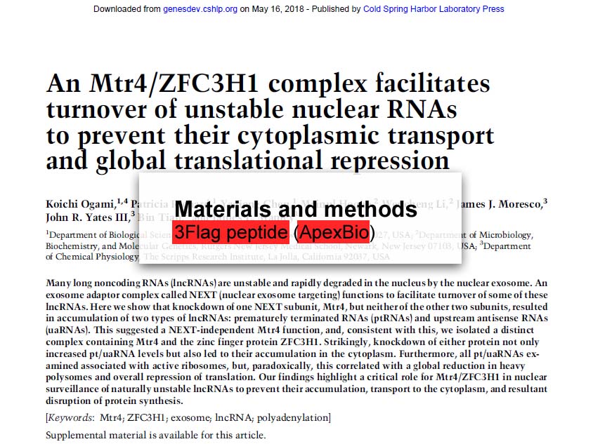 3X FLAG Peptide - Synthetic Peptide Tag for Protein Detection | APExBIO