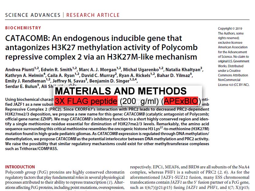 3X FLAG Peptide - Synthetic Peptide Tag for Protein Detection | APExBIO