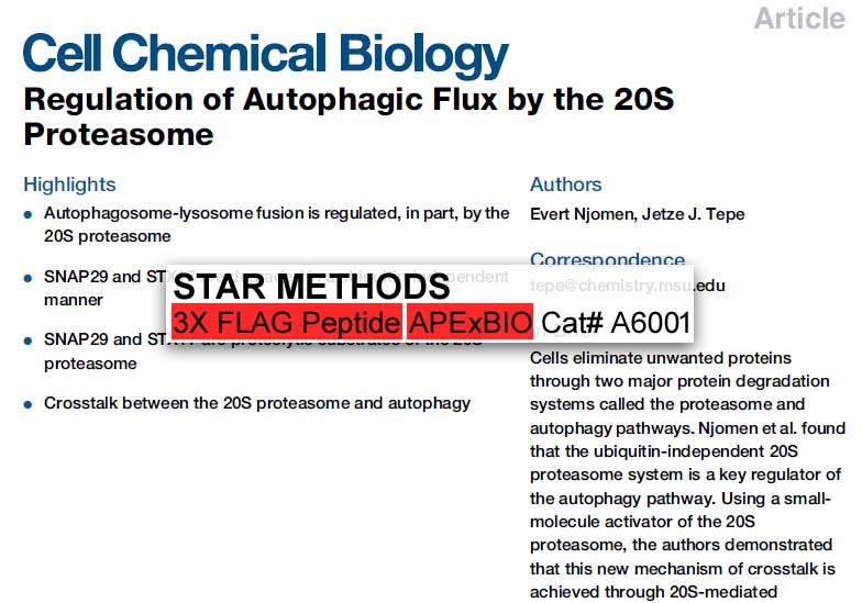 3X FLAG Peptide - Synthetic Peptide Tag for Protein Detection | APExBIO
