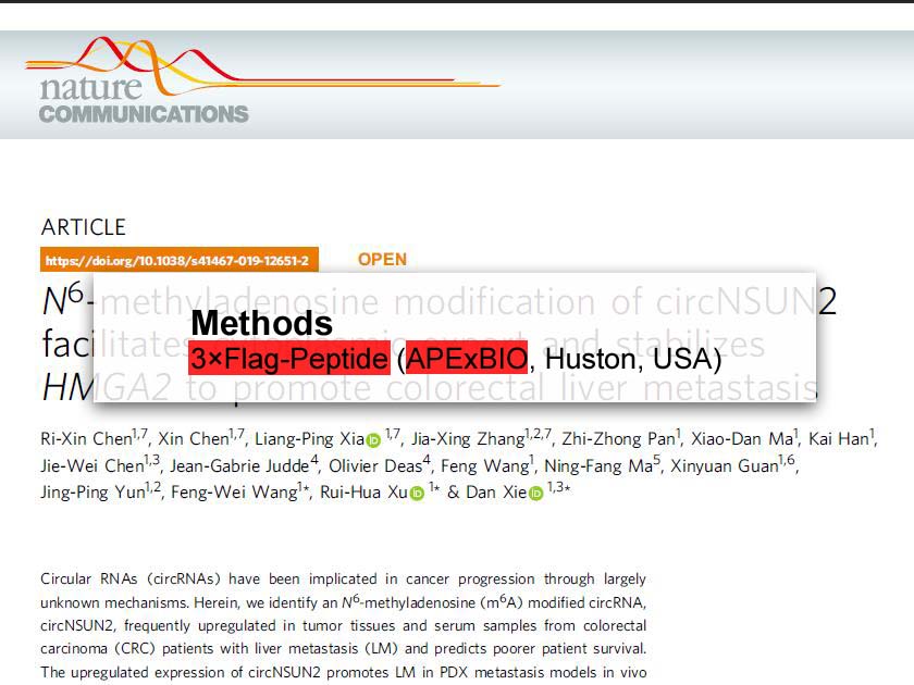 3X FLAG Peptide - Synthetic Peptide Tag for Protein Detection | APExBIO