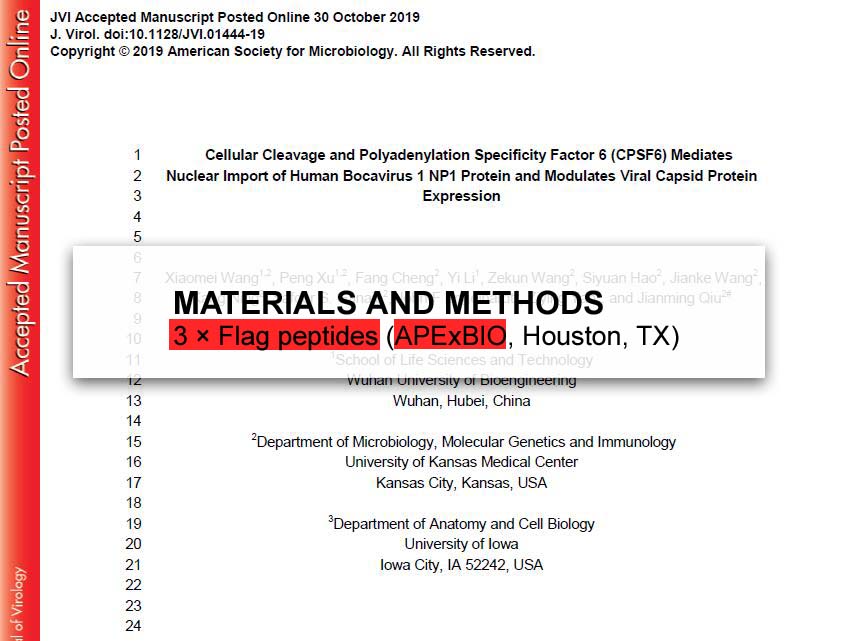 3X FLAG Peptide - Synthetic Peptide Tag for Protein Detection | APExBIO