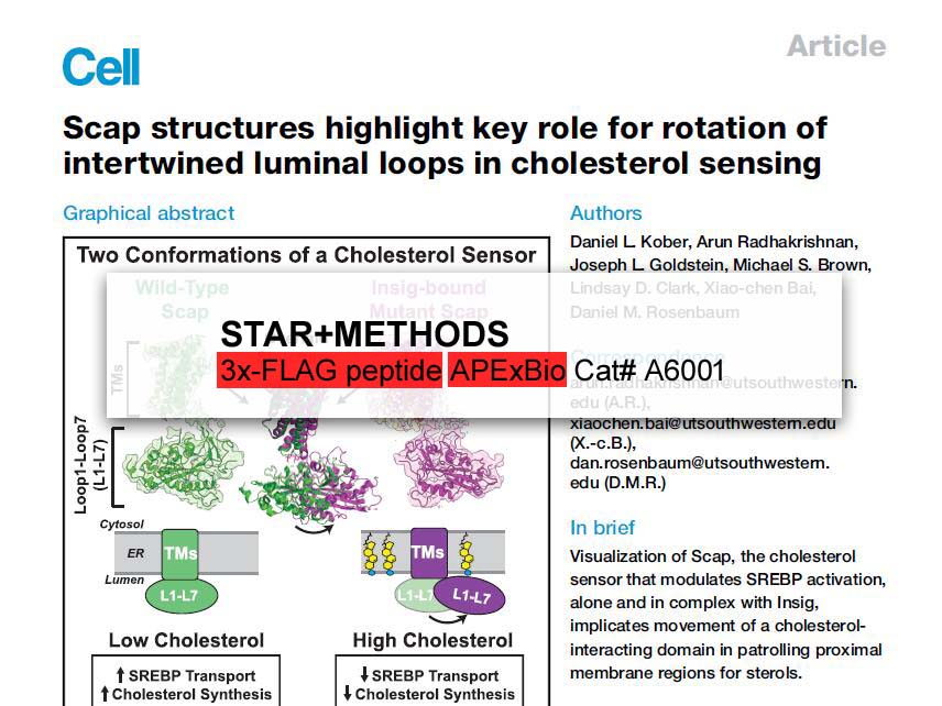 美国APExBIO中文官网 - 3X (DYKDDDDK) Peptide