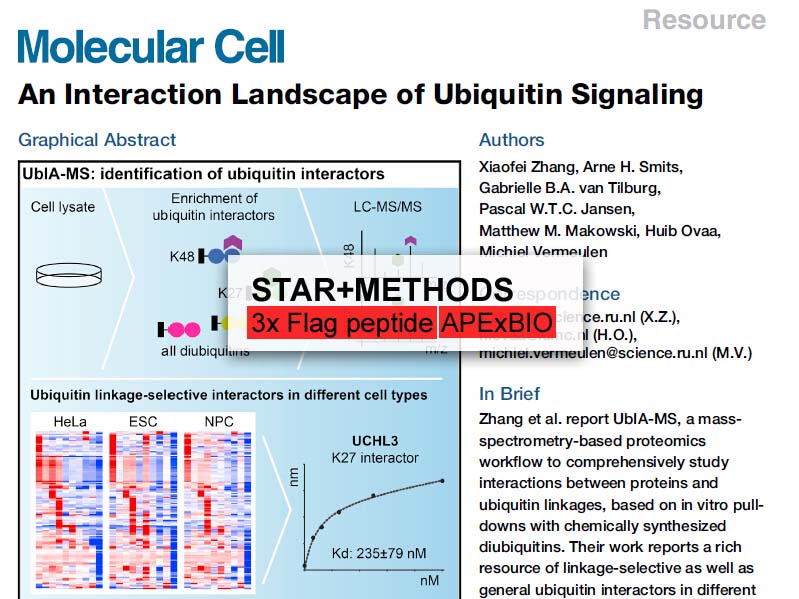 美国APExBIO中文官网 - 3X FLAG Peptide|Synthetic peptide tag