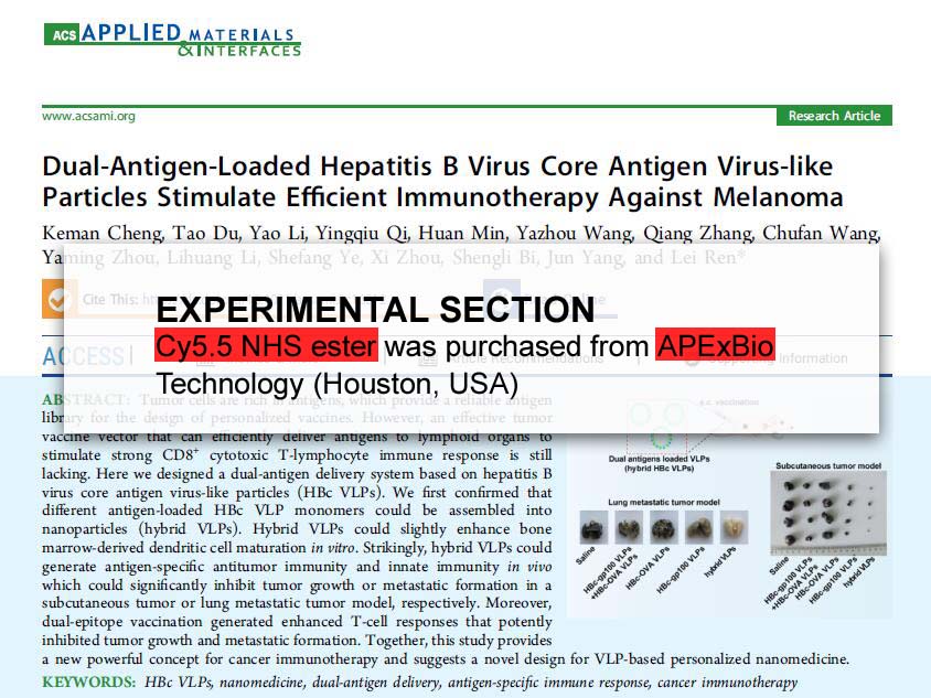 Cy5.5 NHS ester 10mM (in 1mL DMSO) - Reactive Fluorescent Labeling Dye | APExBIO