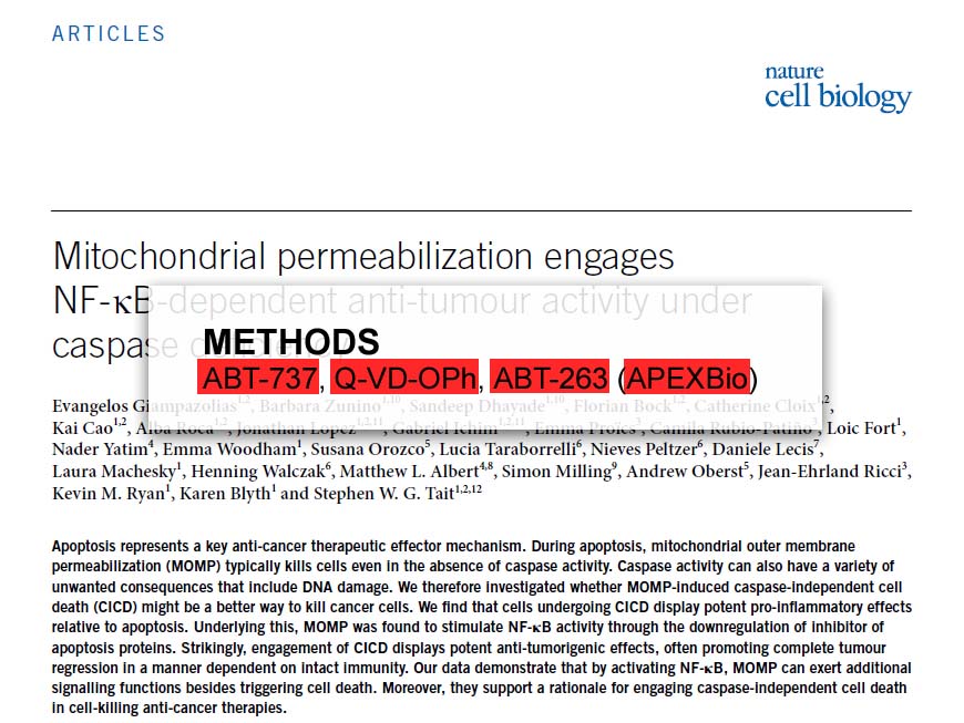 ABT-737 – Bcl-2 Family Inhibitor | APExBIO