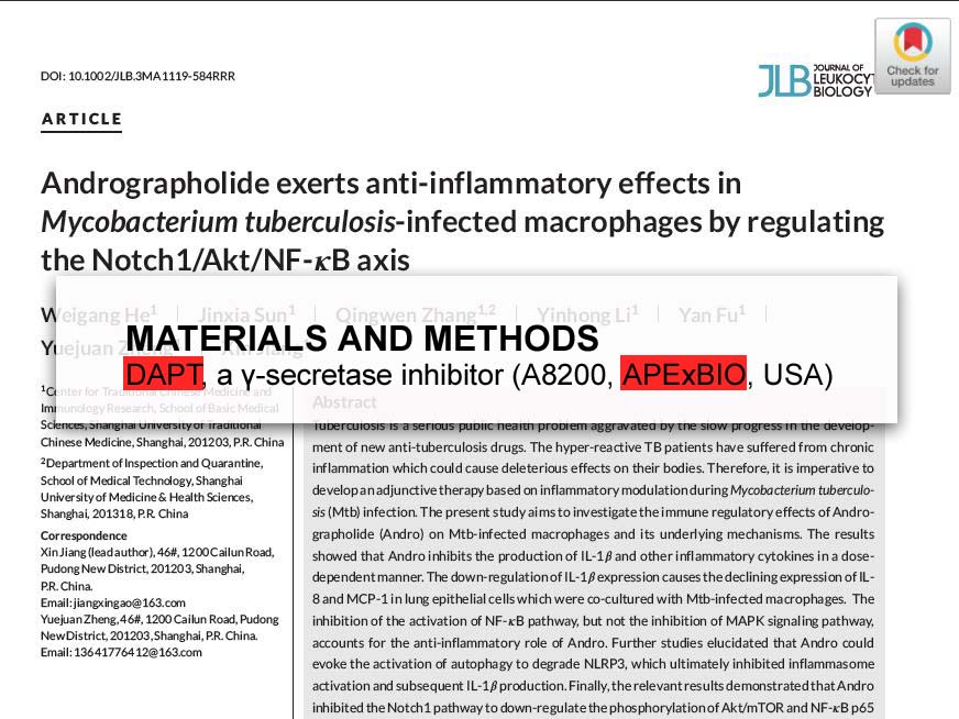 DAPT (GSI-IX) – γ-Secretase Inhibitor | APExBIO