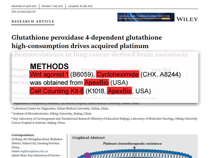 Cycloheximide – Protein Synthesis Inhibitor | APExBIO