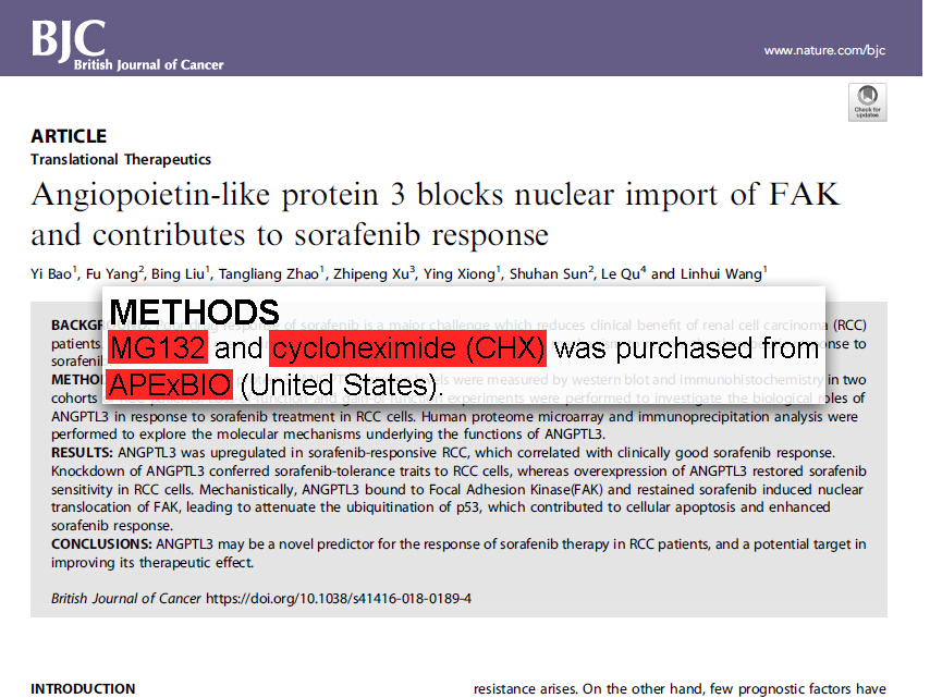 Cycloheximide – Protein Synthesis Inhibitor | APExBIO