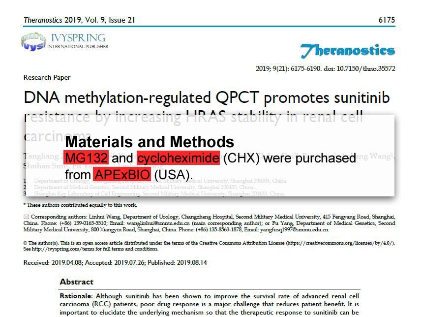 Cycloheximide – Protein Synthesis Inhibitor | APExBIO