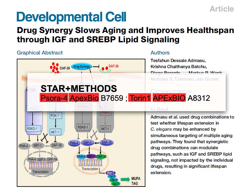 美国APExBIO中文官网 - Torin 1|MTOR inhibitor,potent and selective|CAS ...