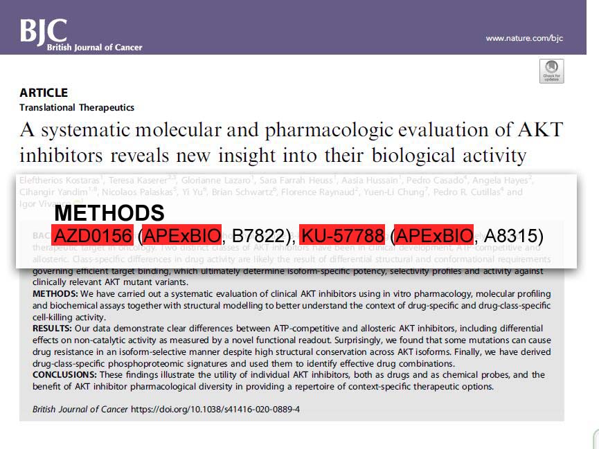 NU7441 (KU-57788) – DNA-PK Inhibitor | APExBIO
