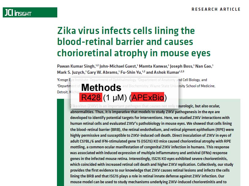 R428 (BGB324) Evaluation Sample - Selective Axl Inhibitor | APExBIO