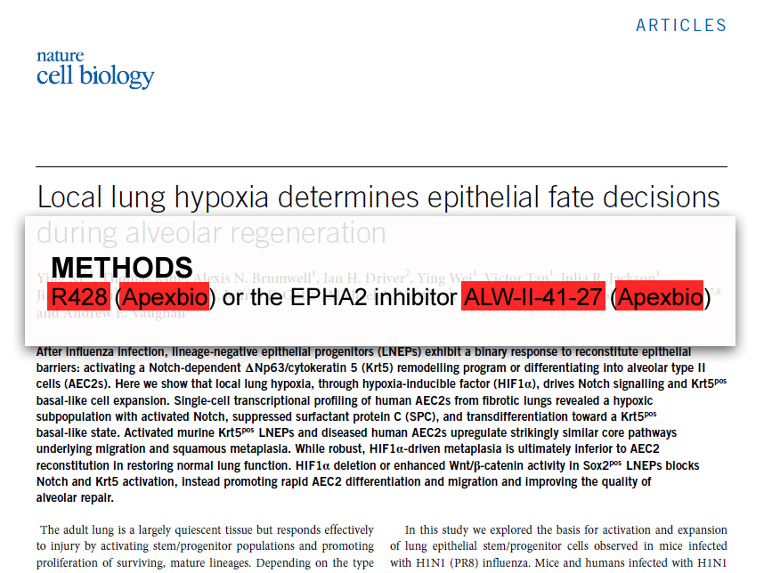 R428 (BGB324) Evaluation Sample - Selective Axl Inhibitor | APExBIO