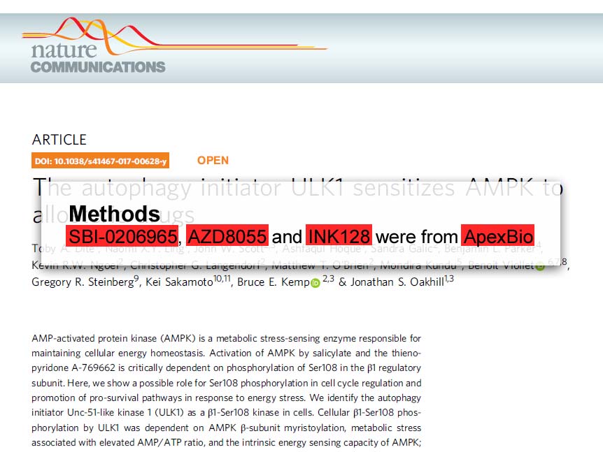 INK 128 (MLN0128) - Potent mTORC1/2 Inhibitor | APExBIO