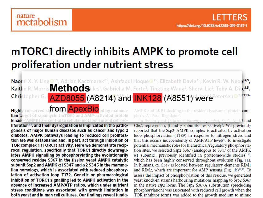 INK 128 (MLN0128) - Potent mTORC1/2 Inhibitor | APExBIO