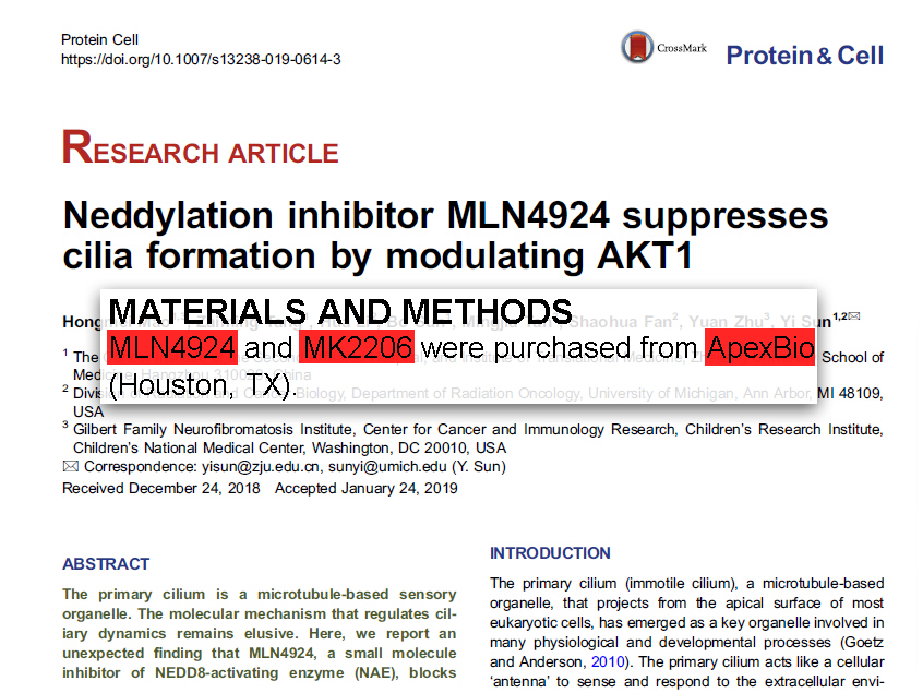 MLN4924 - NAE Inhibitor for Targeted Cancer Research | APExBIO