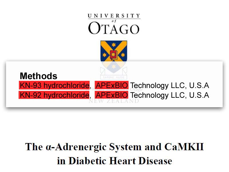 KN-93 hydrochloride - CaMK II Inhibitor for Signaling Research | APExBIO