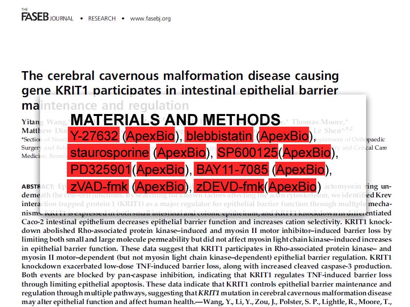 Blebbistatin – Myosin II Inhibitor | APExBIO