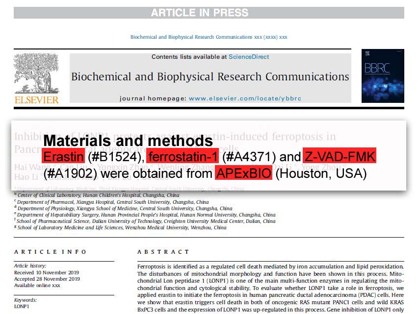 美国APExBIO中文官网 - Erastin