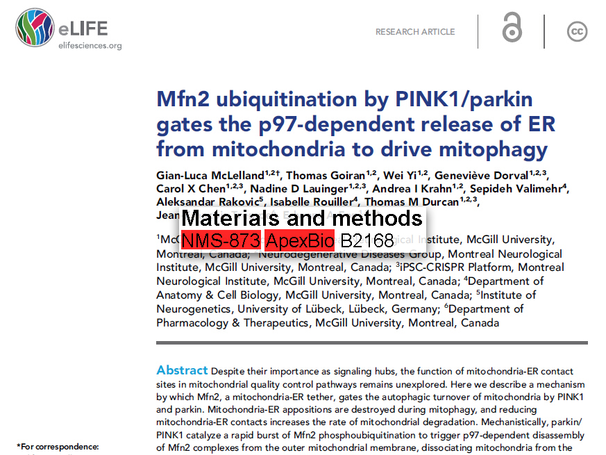 NMS-873 - Selective Allosteric VCP/p97 Inhibitor | APExBIO