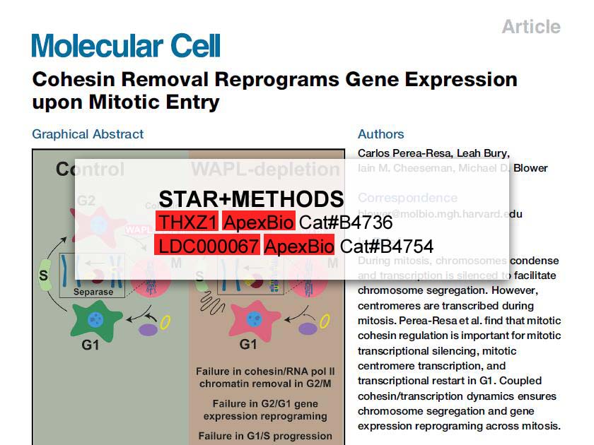 APExBIO - THZ1 Hydrochloride|CDK7 inhibitor