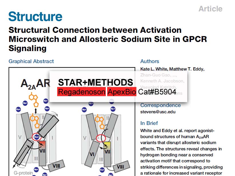 Regadenoson - Selective Adenosine A2A Receptor Agonist | APExBIO