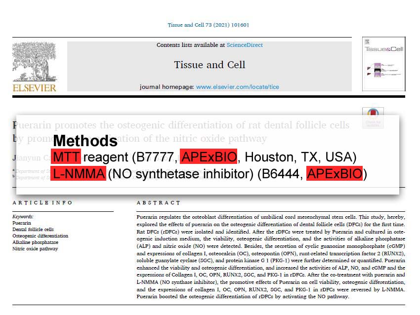 L-NMMA acetate - Nitric Oxide Synthase Inhibitor | APExBIO